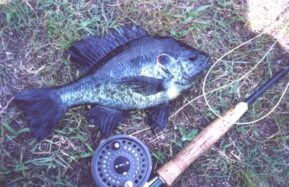 Fly Fishing West Georgia & Beyond - Fishing Reports